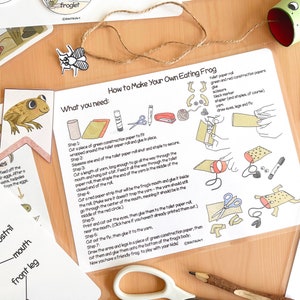 Frog Unit Study Homeschool Summer Activities Frog and Toad Life Cycle ...