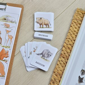 Woodland Animals Flash Cards, Printable Montessori Materials ...