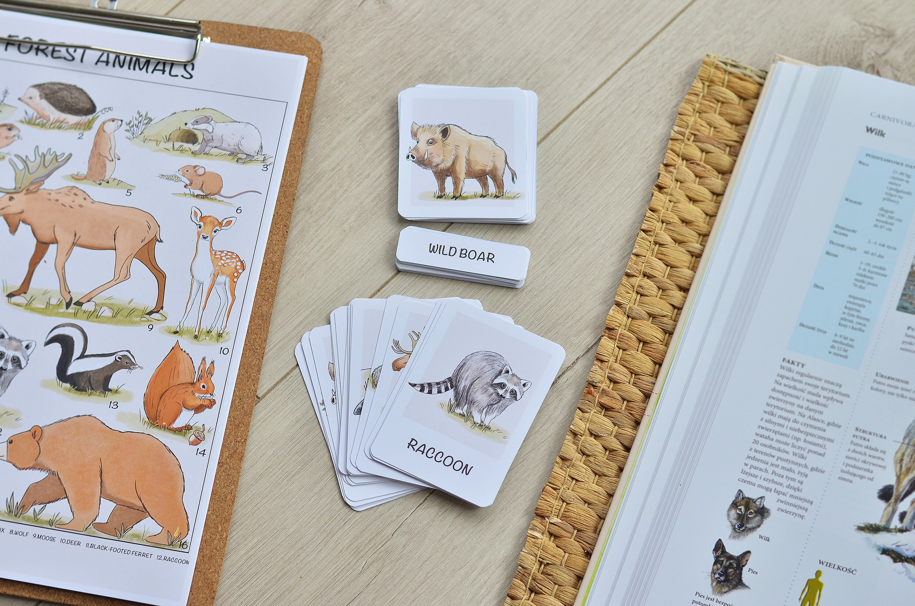 Woodland Animals Flash Cards Printable Montessori Materials | Etsy