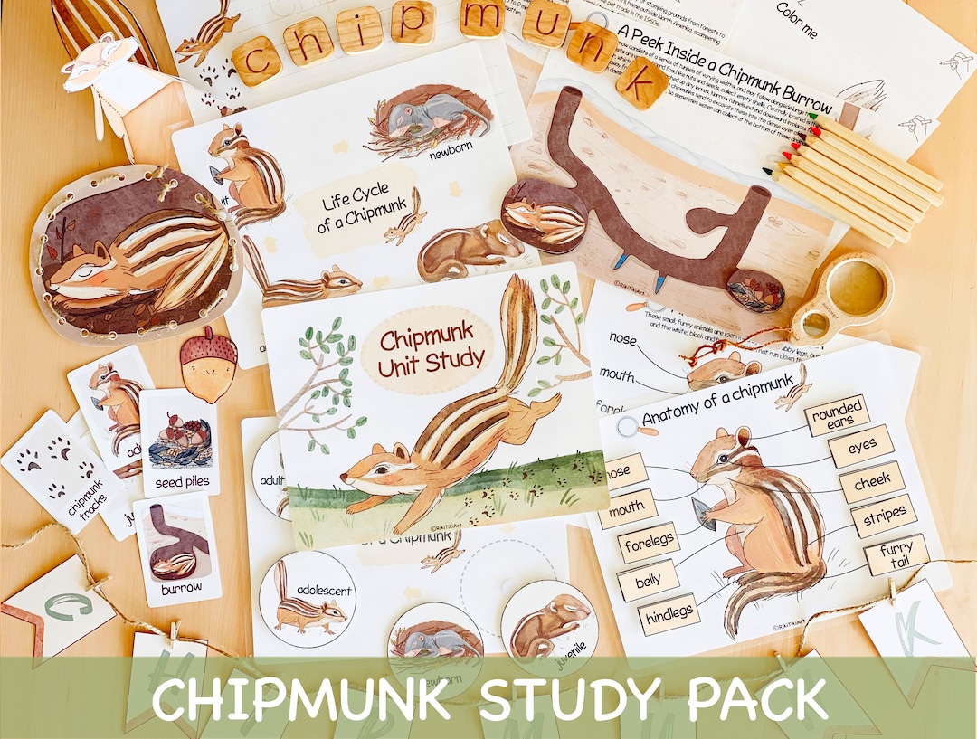 Chipmunk Unit Study Bundle Fall Homeschool Printables Charlotte Mason ...