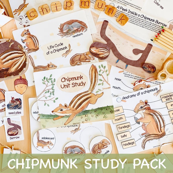 Chipmunk - Etsy