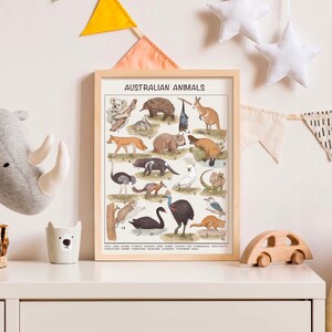 Australian Animals Educational Poster, Homeschool Montessori Materials ...