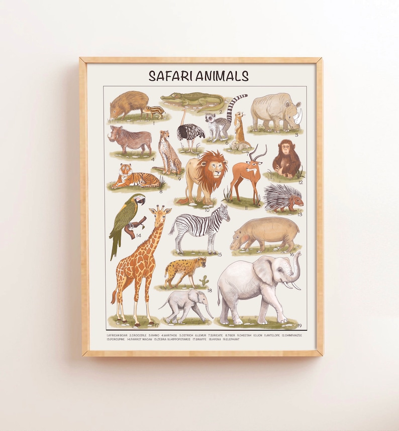 Safari Animals Educational Posters Montessori Nursery | Etsy