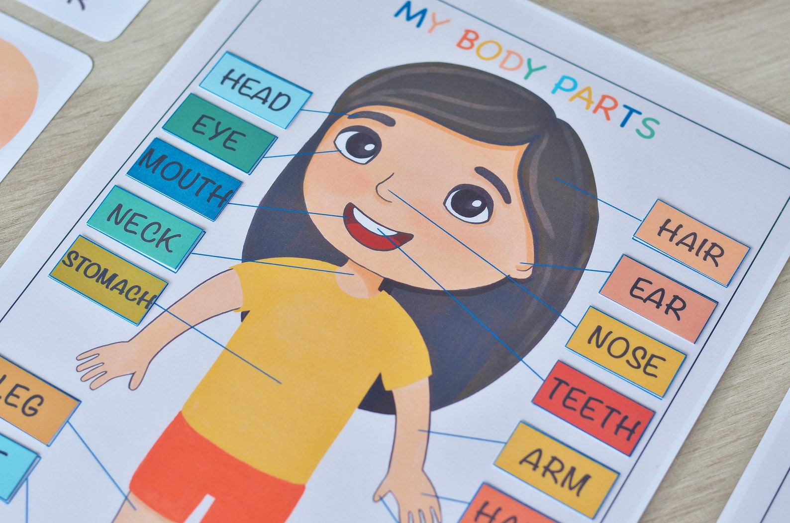 Body Parts Busy Bundle, Printable Montessori Materials Educational ...