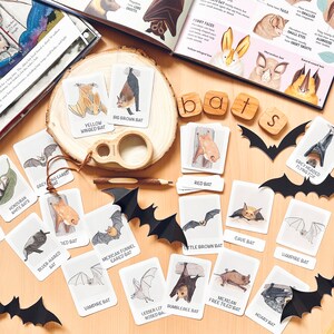 Bats Flash Cards Homeschool Printable Resources Montessori Halloween ...