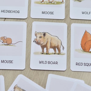 Woodland Animals Flash Cards, Printable Montessori Materials ...