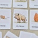Woodland Animals Flash Cards, Printable Montessori Materials ...