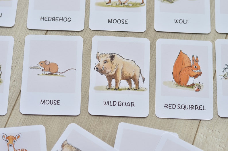 Woodland Animals Flash Cards Printable Montessori Materials - Etsy Canada