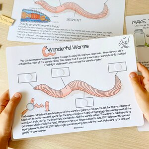 Worms Unit Study Charlotte Mason Printable Resources Homeschool ...