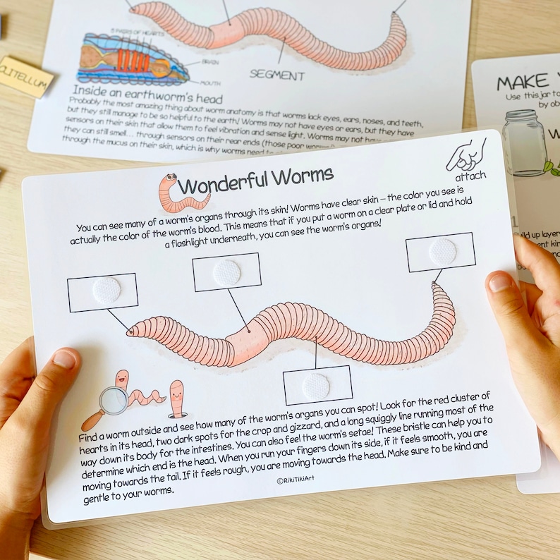 Worms Unit Study Charlotte Mason Printable Resources - Etsy