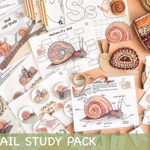 SPRING Early Learning Bundle Printable Nature Unit Study for - Etsy