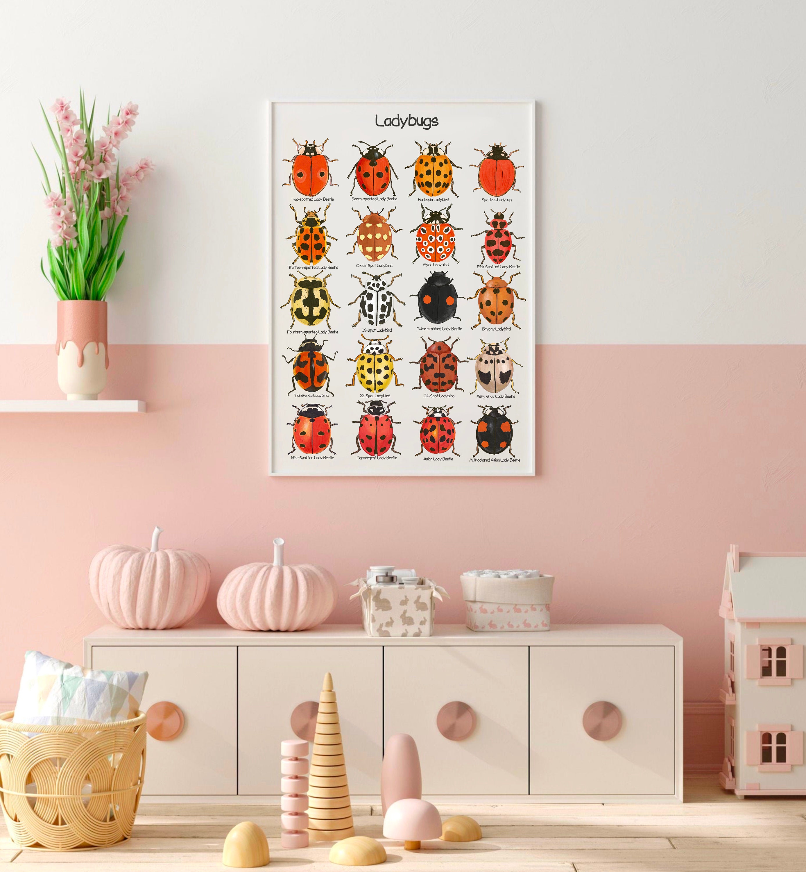 Ladybugs Poster Educational Wall Art for Kids Lady Beetles Classroom ...