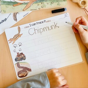 Chipmunk Unit Study Bundle Fall Homeschool Printables Charlotte Mason ...