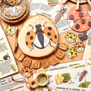 Ladybug Unit Study Homeschool Spring Printables Charlotte Mason ...