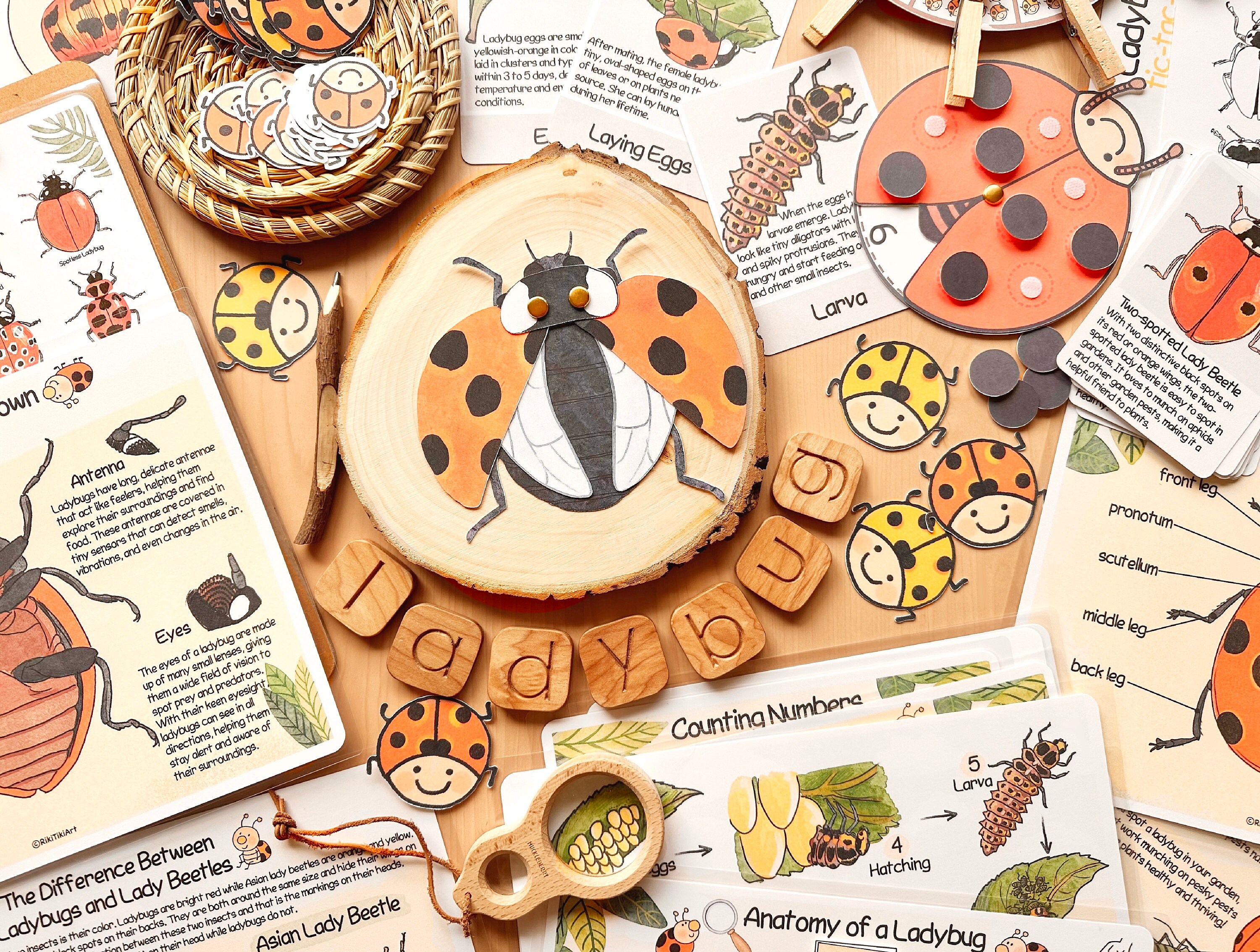 Ladybug Unit Study Homeschool Spring Printables Charlotte Mason ...