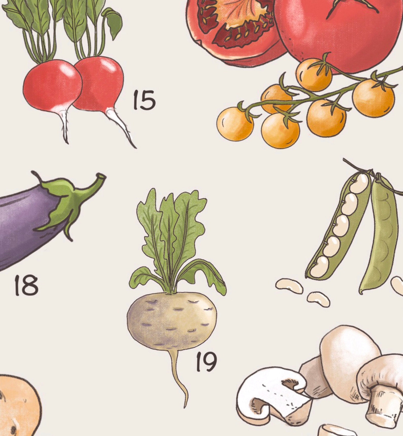 Vegetables Classroom Posters Montessori Educational Posters - Etsy