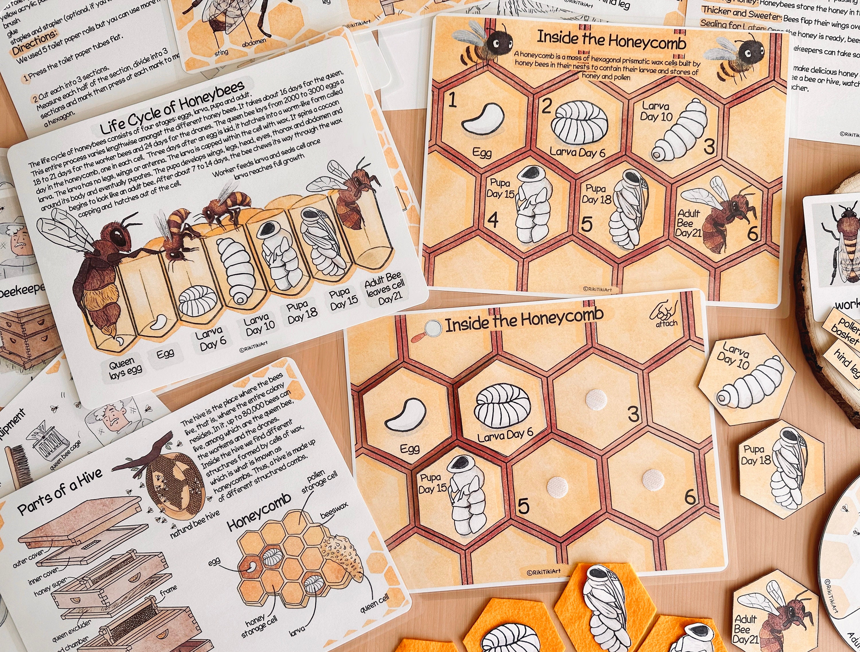 Honey Bee Unit Study Homeschool Summer Activities Bee Life Cycle ...