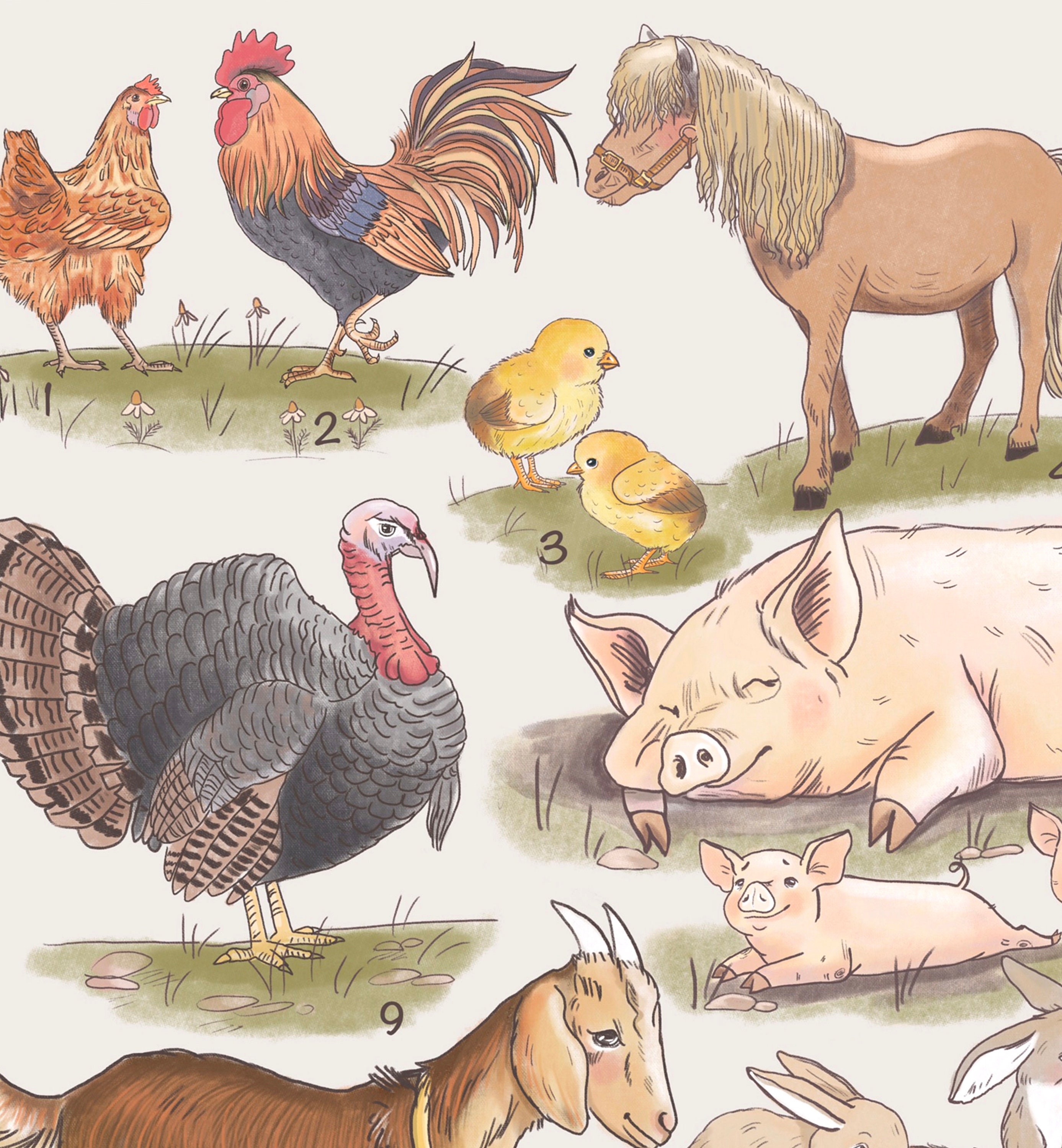 Set of Two Prints, Educational Posters, Farm and Woodland Animals ...