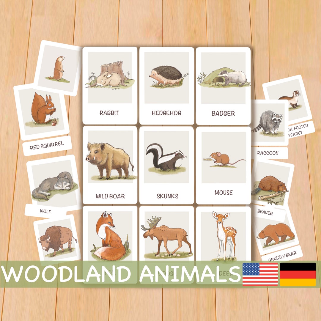 Woodland Animals Flash Cards, Printable Montessori Materials ...