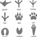 Animal Tracks Print: Woodland Nursery Decor - Etsy