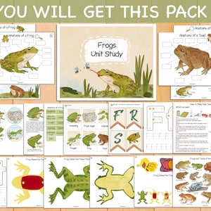 Frog Unit Study Homeschool Summer Activities Frog and Toad Life Cycle ...