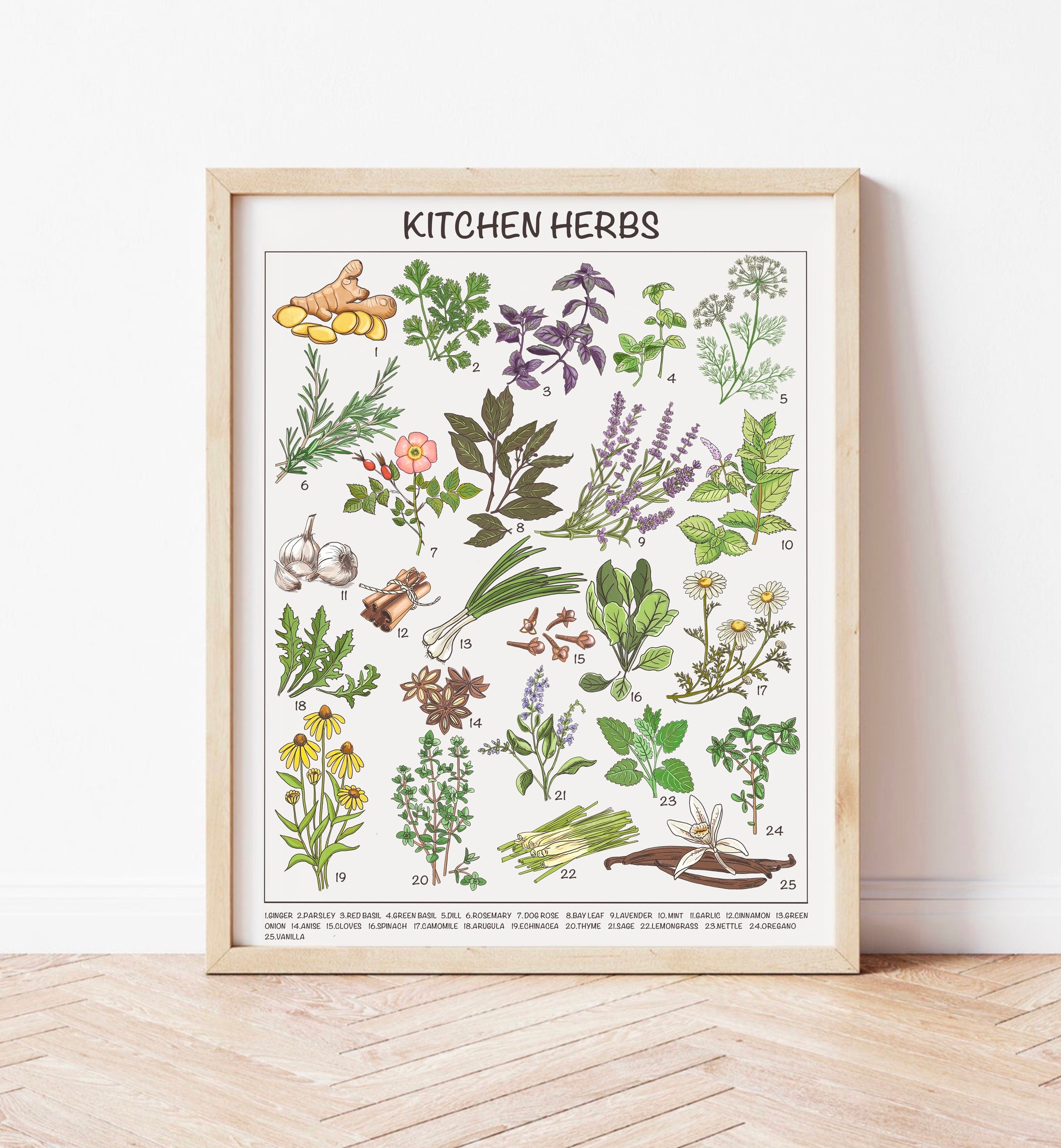 Kitchen Herb Educational Posters, Homeschool Montessori Classroom ...