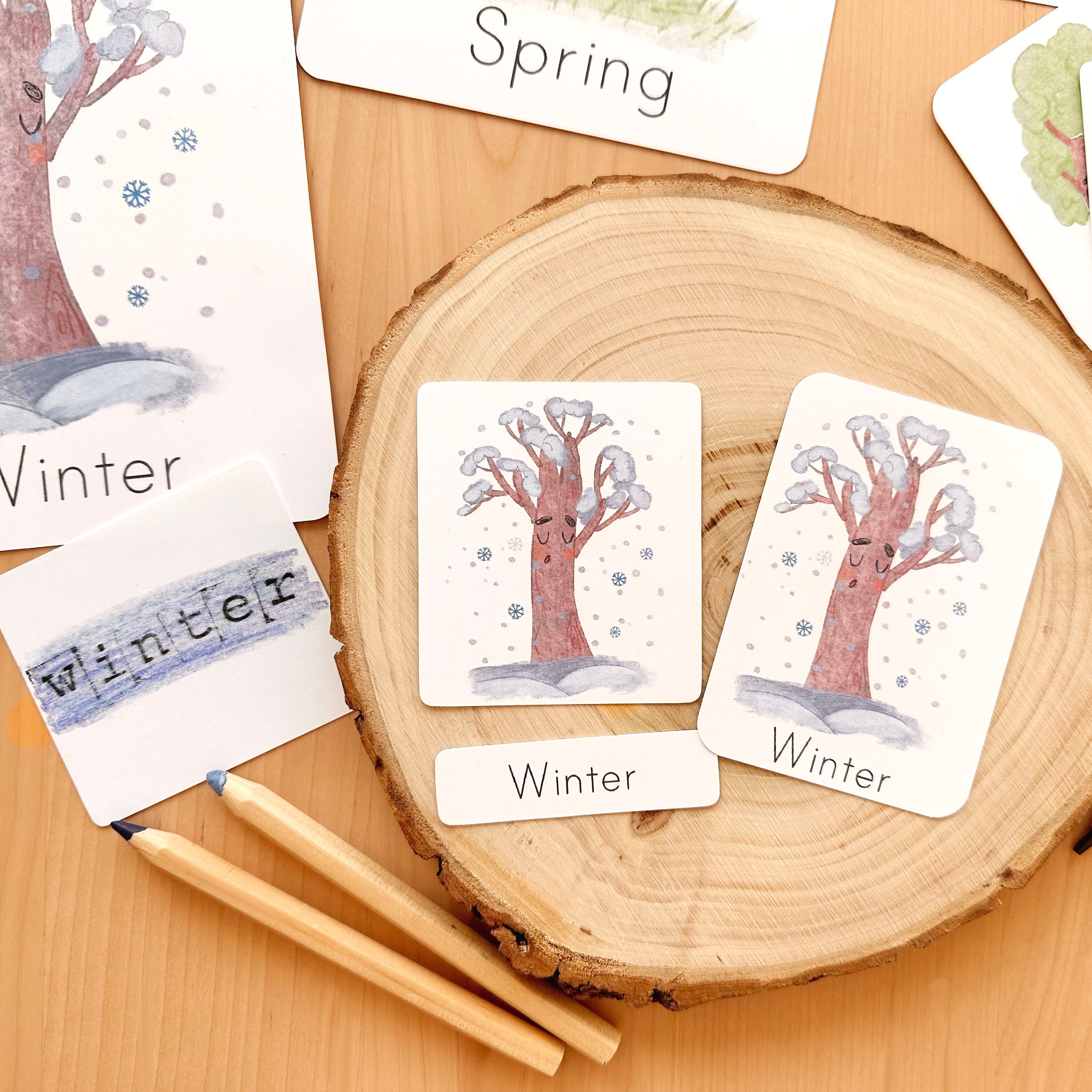 Seasons Flash Cards Montessori Educational Materials Homeschool ...