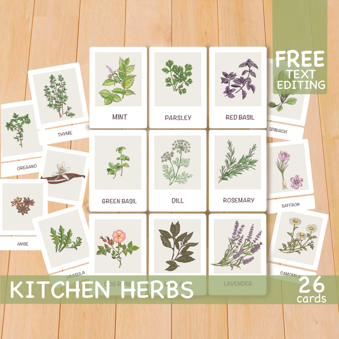 Herbs Flashcards, Printable Montessori Materials, Preschool Toddler ...