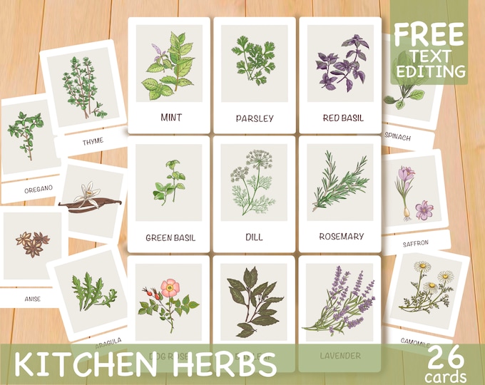 FOODS Printable Flash Cards 3 Part Cards Montessori Cards BONUS Letter ...