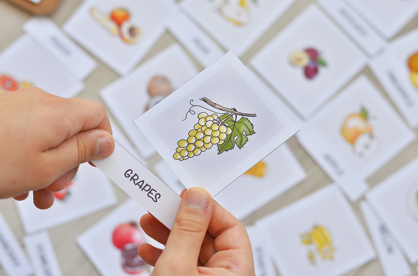 Fruits Flash Cards, Montessori Materials, Preschool Curriculum, Toddler ...