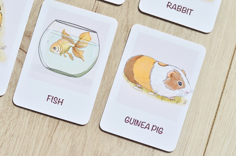 Pets Flashcards Homeschool Montessori Materials Flash Cards - Etsy