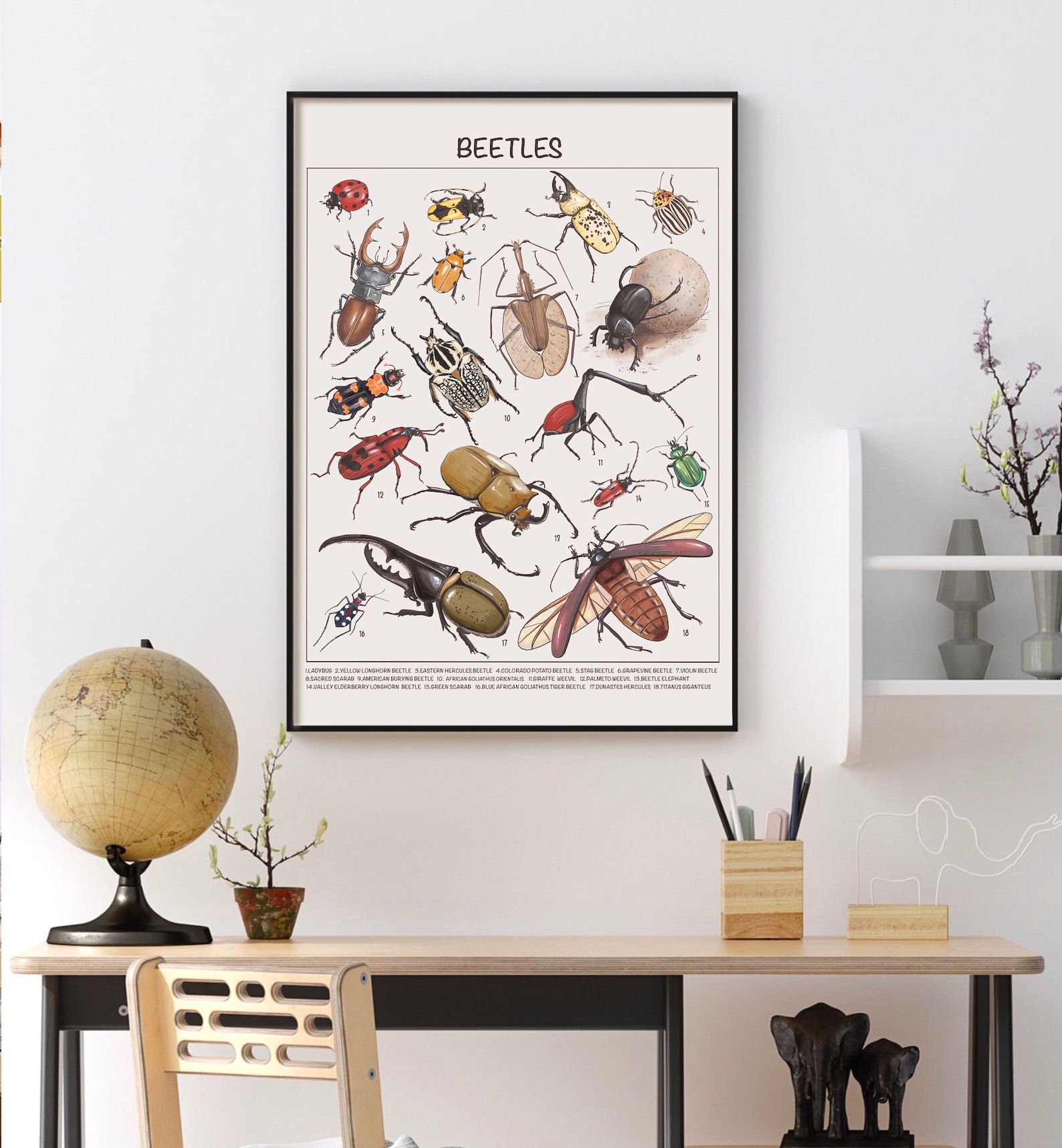 Beetle Educational Posters Homeschool Downloadable Prints Preschool ...