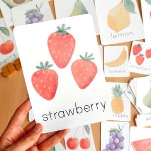 16 Watercolor Fruits Flashcards for Kids Printable Montessori Flash ...