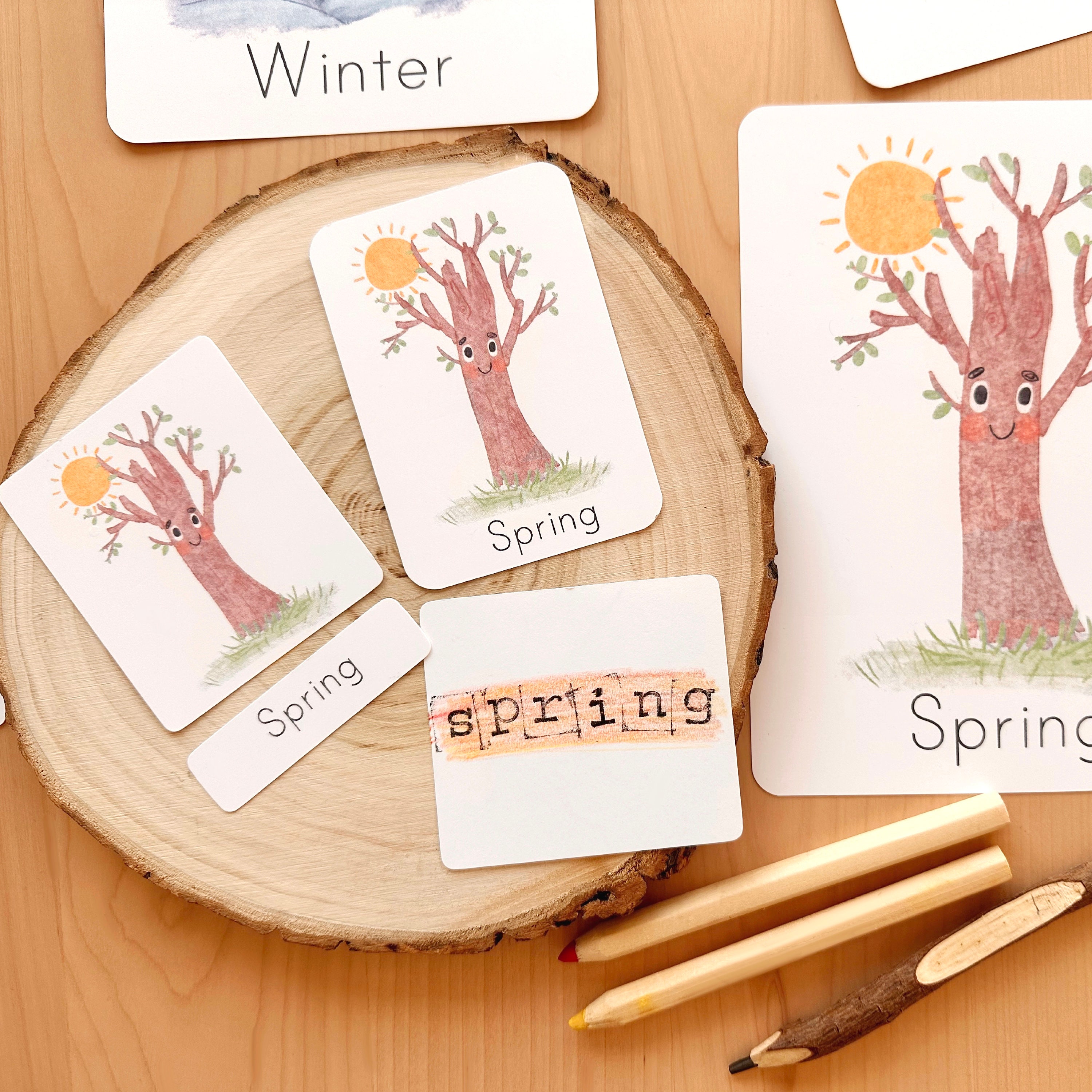 Seasons Flash Cards Montessori Educational Materials Homeschool ...
