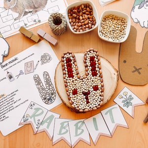 Rabbit Unit Study Homeschool Printables Easter Bunny Spring Learning ...