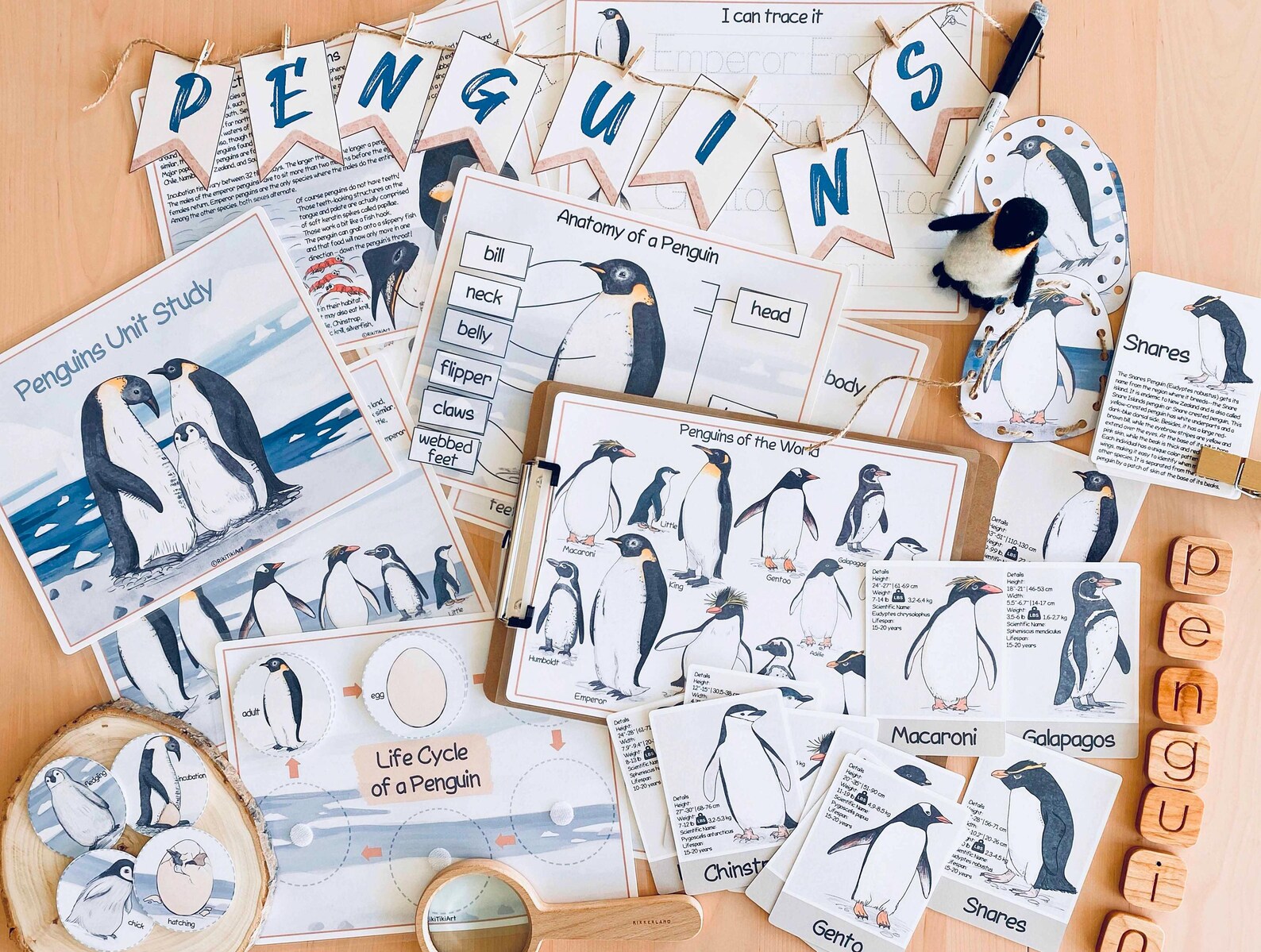 Penguins Unit Study Winter Homeschool Learning Materials Charlotte ...