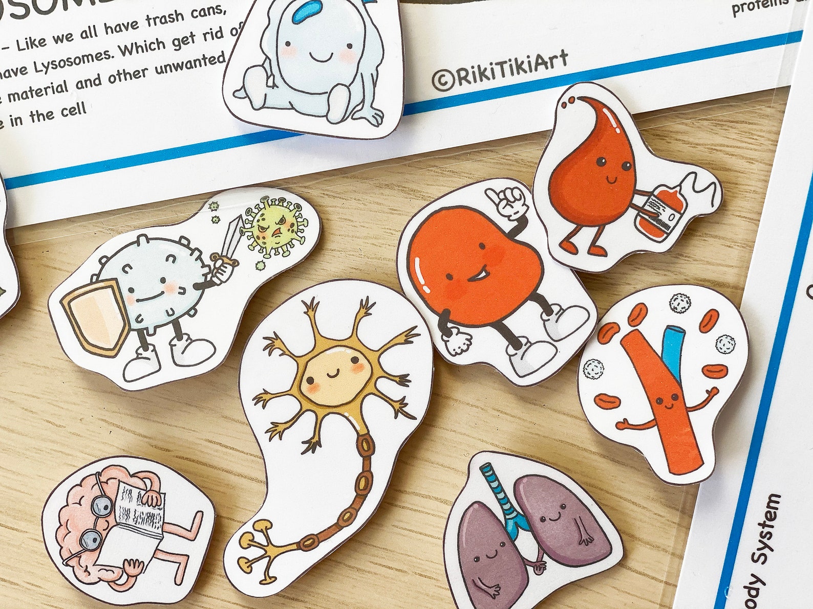 Hyman Body Cell Preschool Activities, Printable Homeschool Anatomy ...