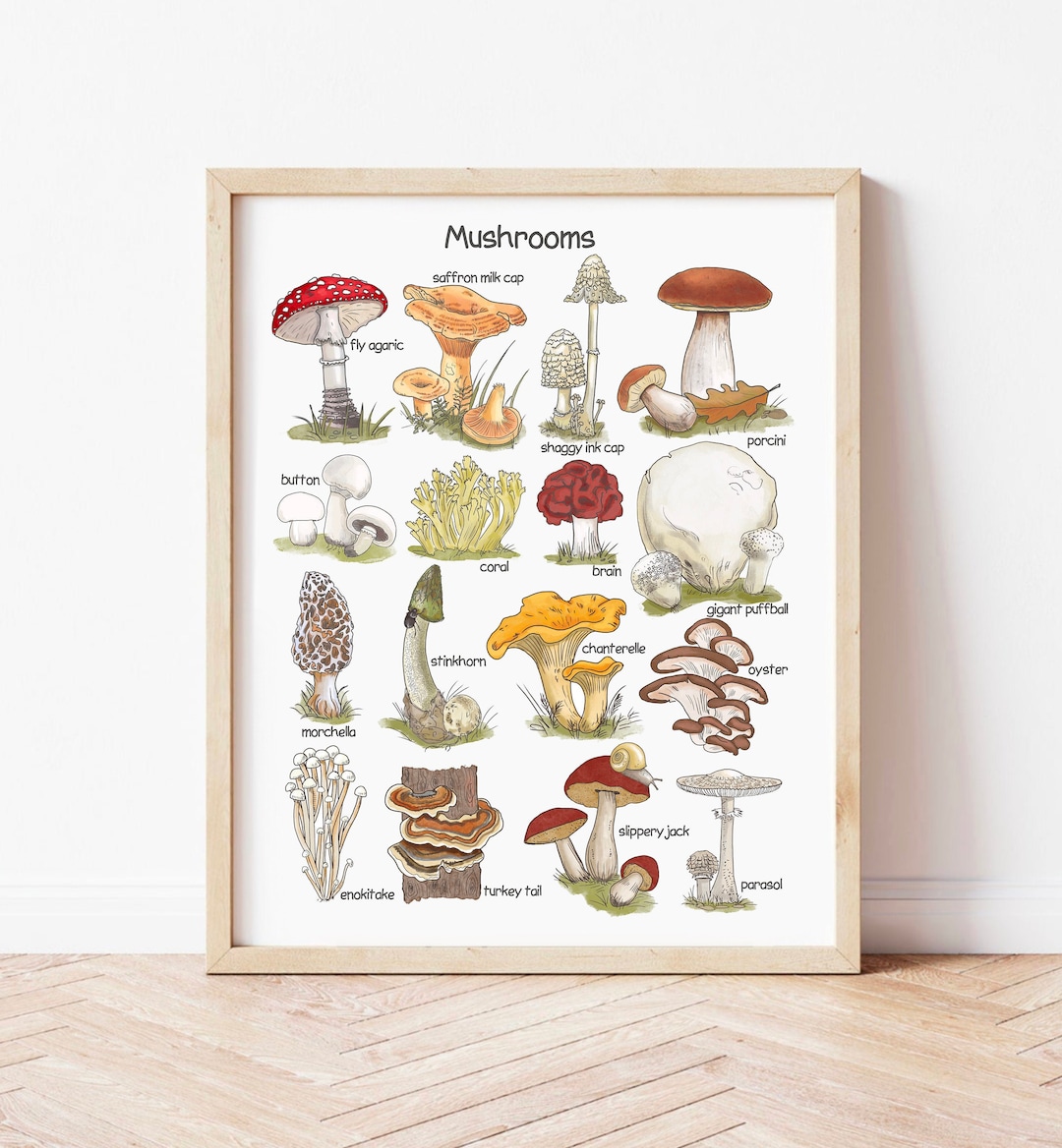 Mushroom Poster Homeschool Educational Posters for Toddlers Nature ...