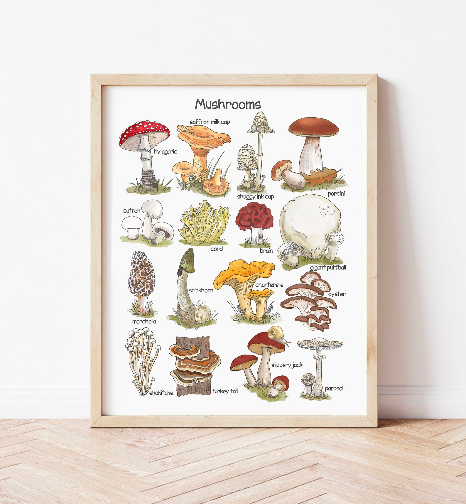 Mushroom Poster Homeschool Educational Posters for Toddlers Nature ...