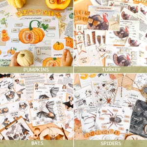 27 Unit Studies MEGA BUNDLE Homeschool Printable Charlotte Mason ...