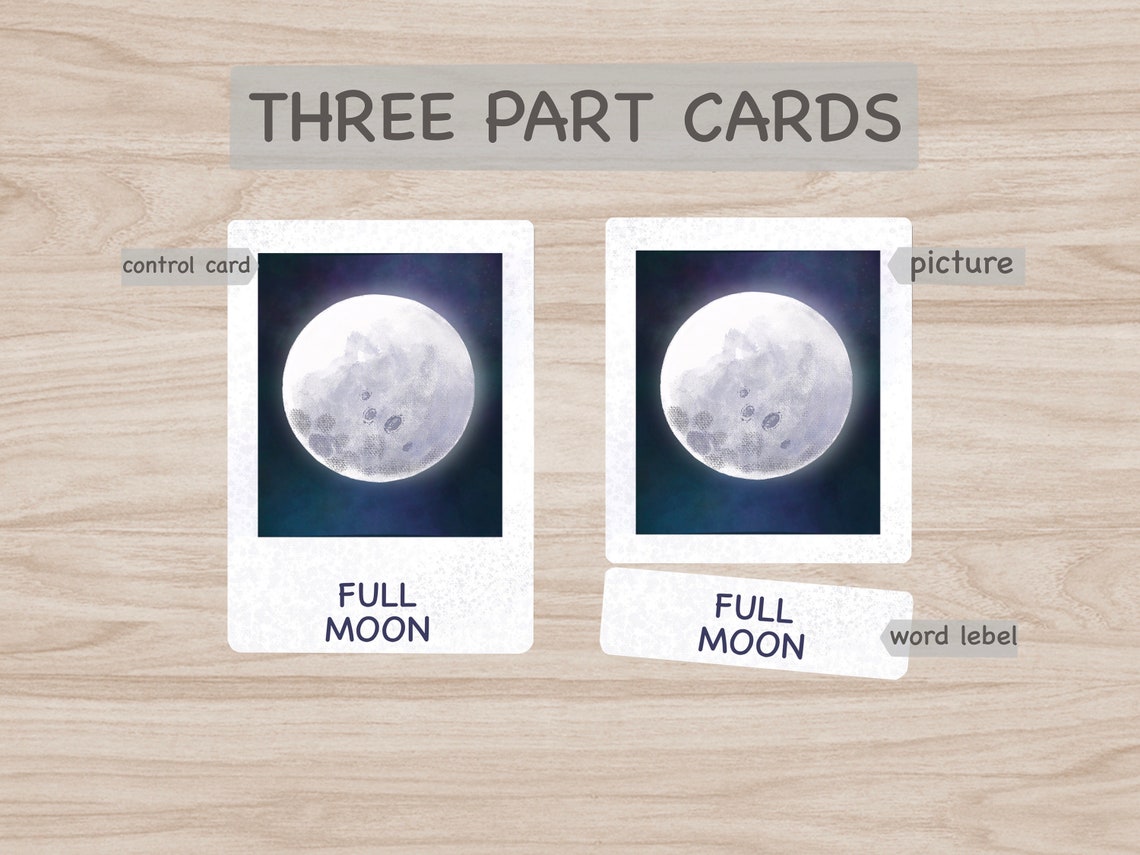 Moon Phases Flashcards Homeschool Montessori Materials - Etsy