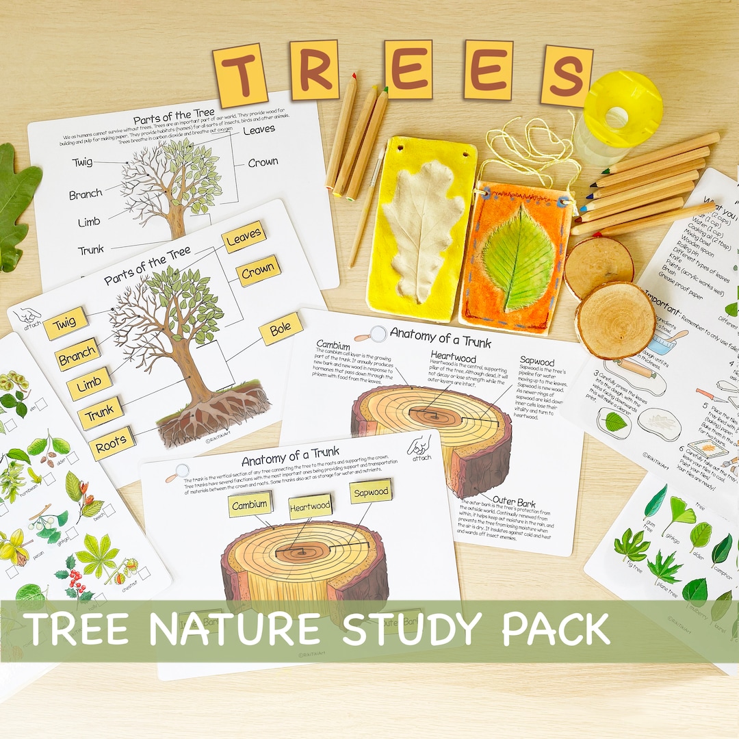 Tree Unit Study Bundle Charlotte Mason Anatomy of a Tree Nature Study ...