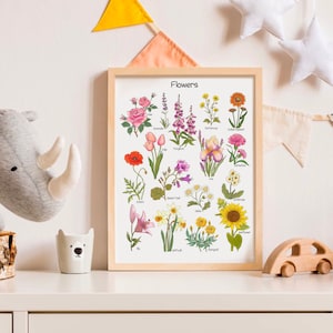 Flowers Poster Homeschool Educational Posters Classroom Playroom ...