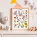 Flowers Poster Homeschool Educational Posters Classroom - Etsy