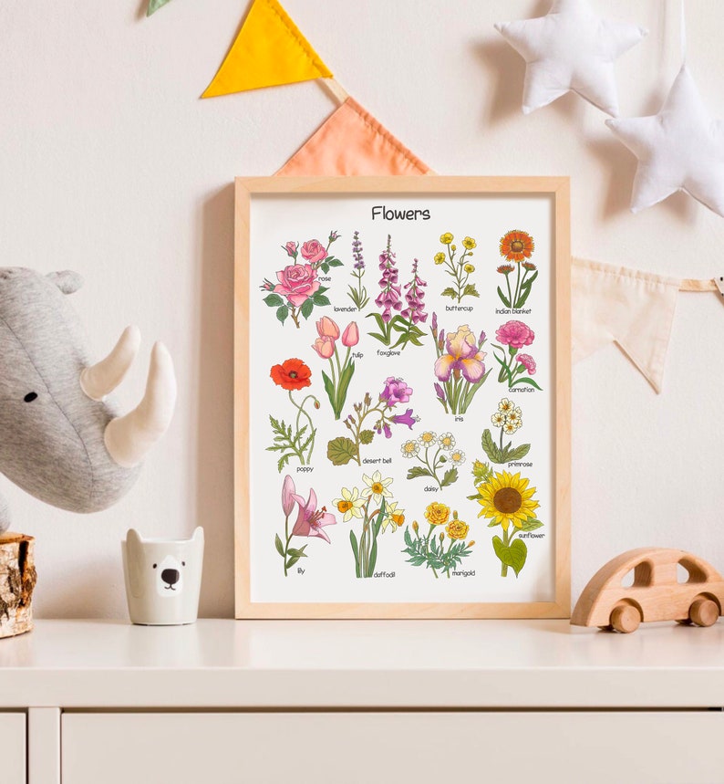 Flowers Poster Homeschool Educational Posters Classroom - Etsy