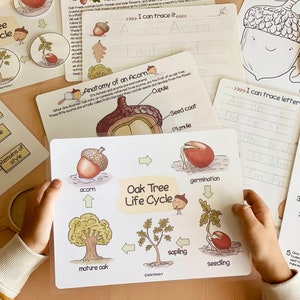 Oak Tree Unit Study Bundle Charlotte Mason Nature Study Anatomy of an ...