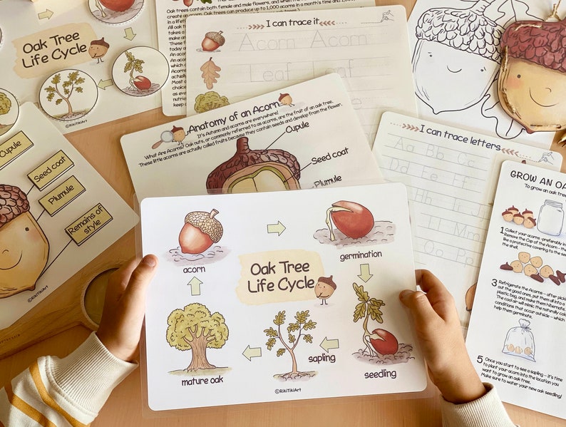 Oak Tree Unit Study Bundle Charlotte Mason Nature Study - Etsy