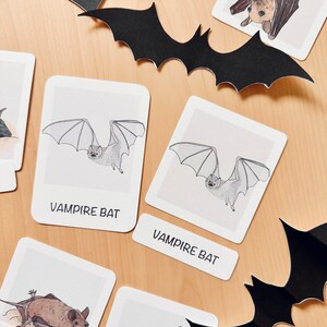 Bats Flash Cards Homeschool Printable Resources Montessori Halloween ...
