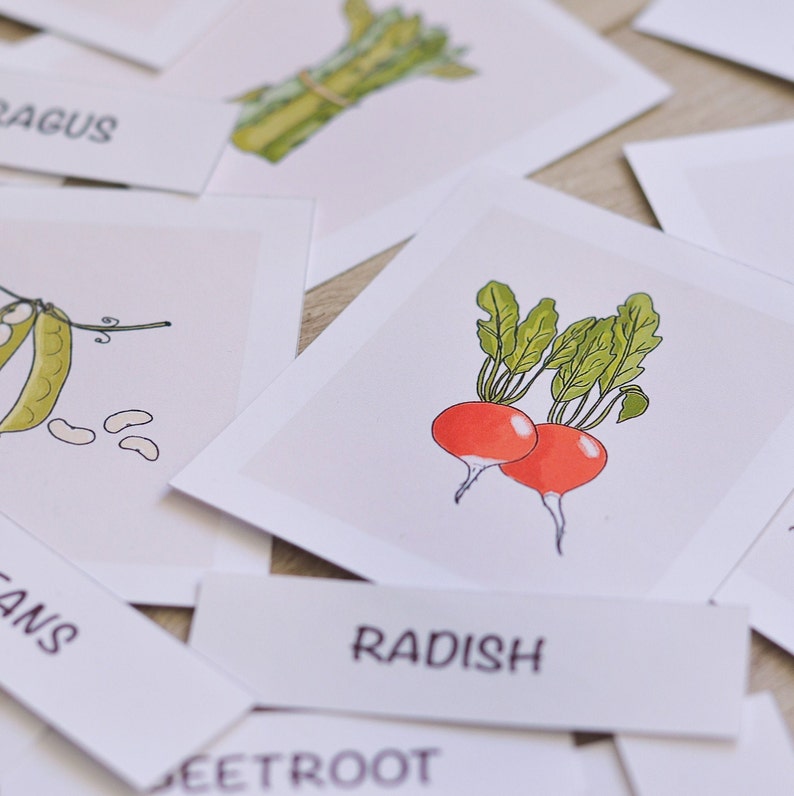 Vegetables Flash Cards Homeschool Montessori Materials - Etsy