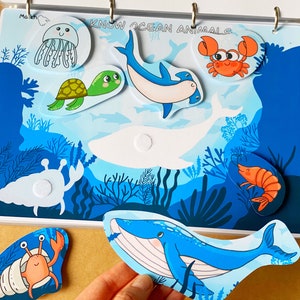 World Animals Busy Book Printable Preschool Curriculum Homeschool ...